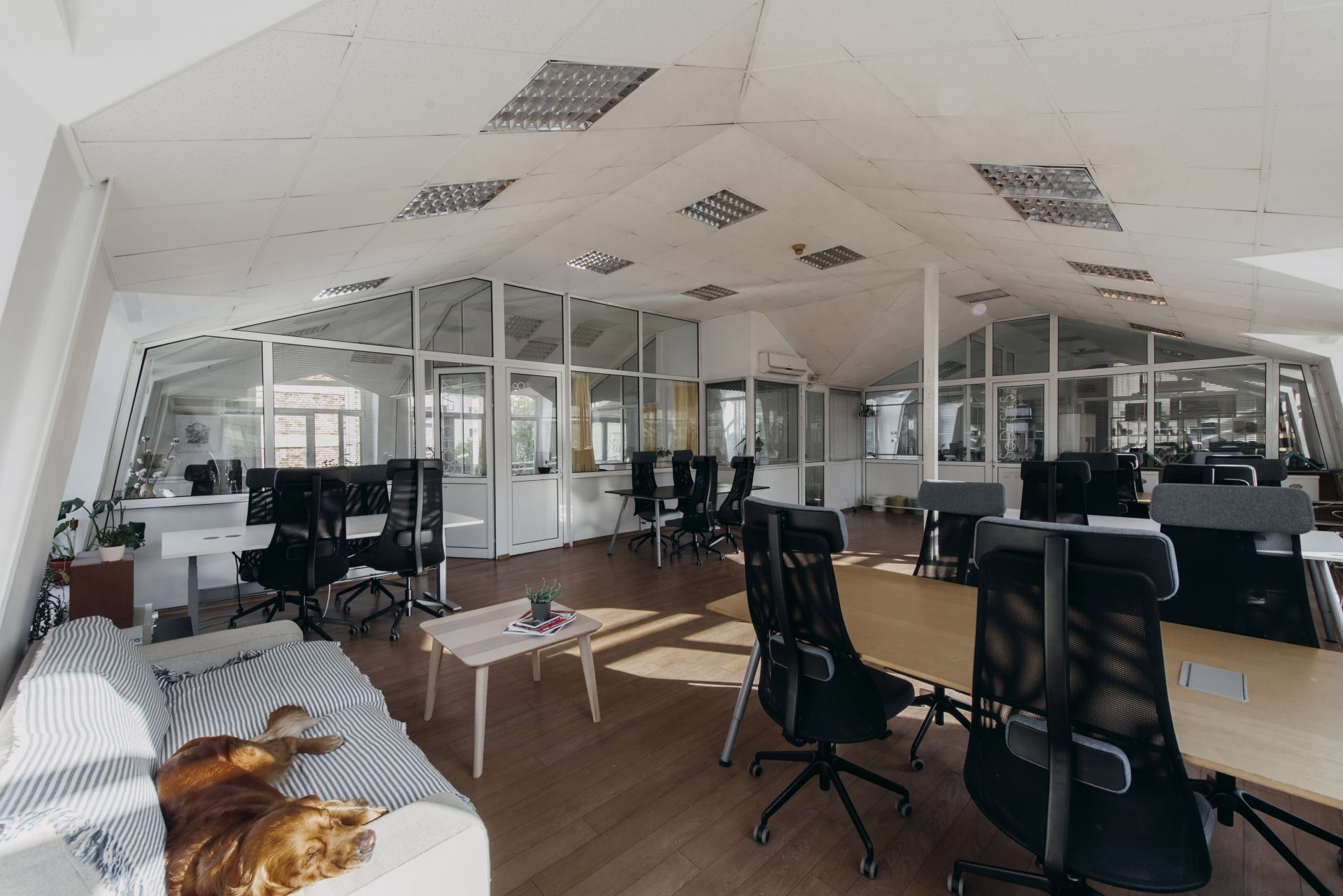 Coworking space on SOHO, Sofia - Book Online - Coworker