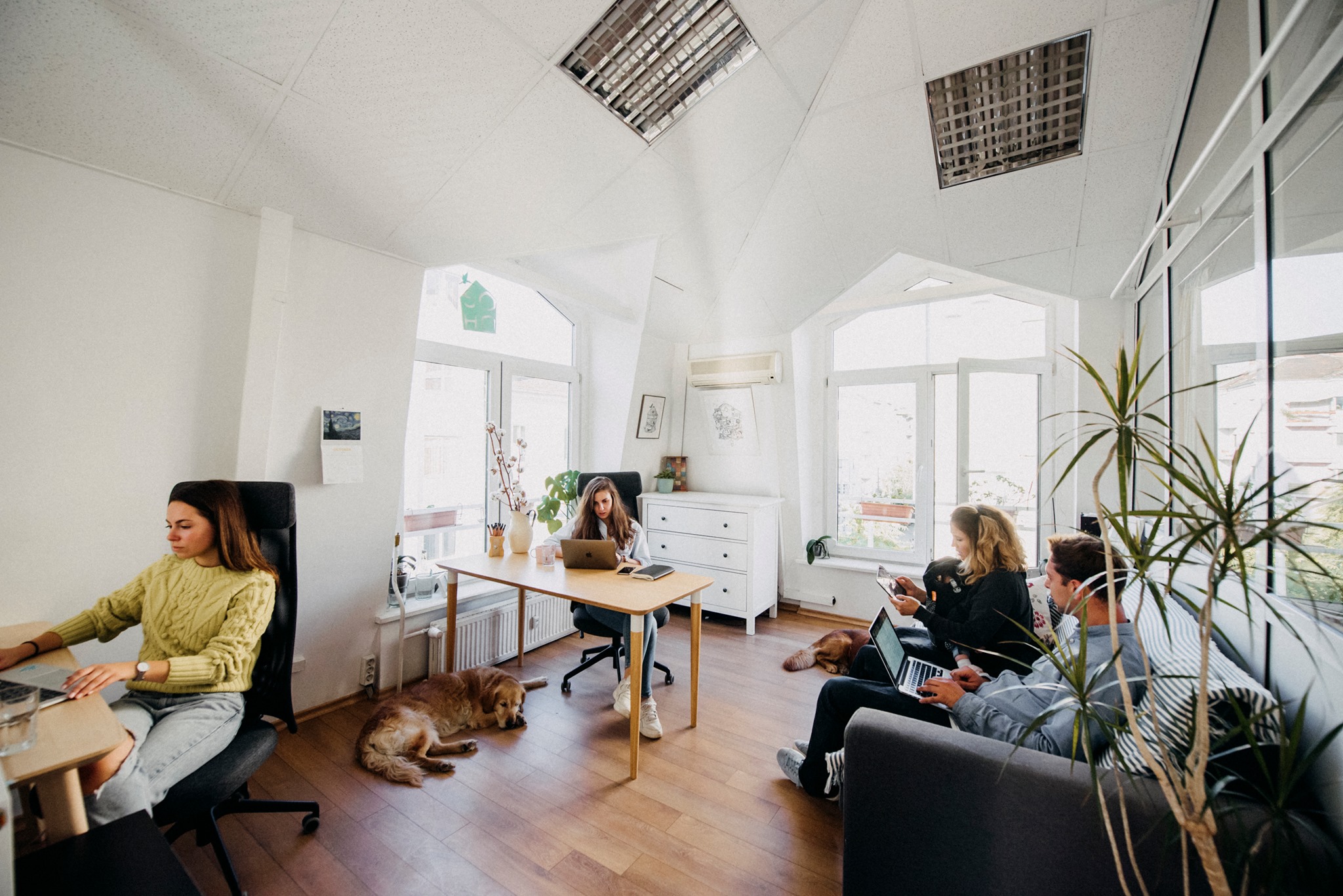 Coworking space on SOHO, Sofia - Book Online - Coworker