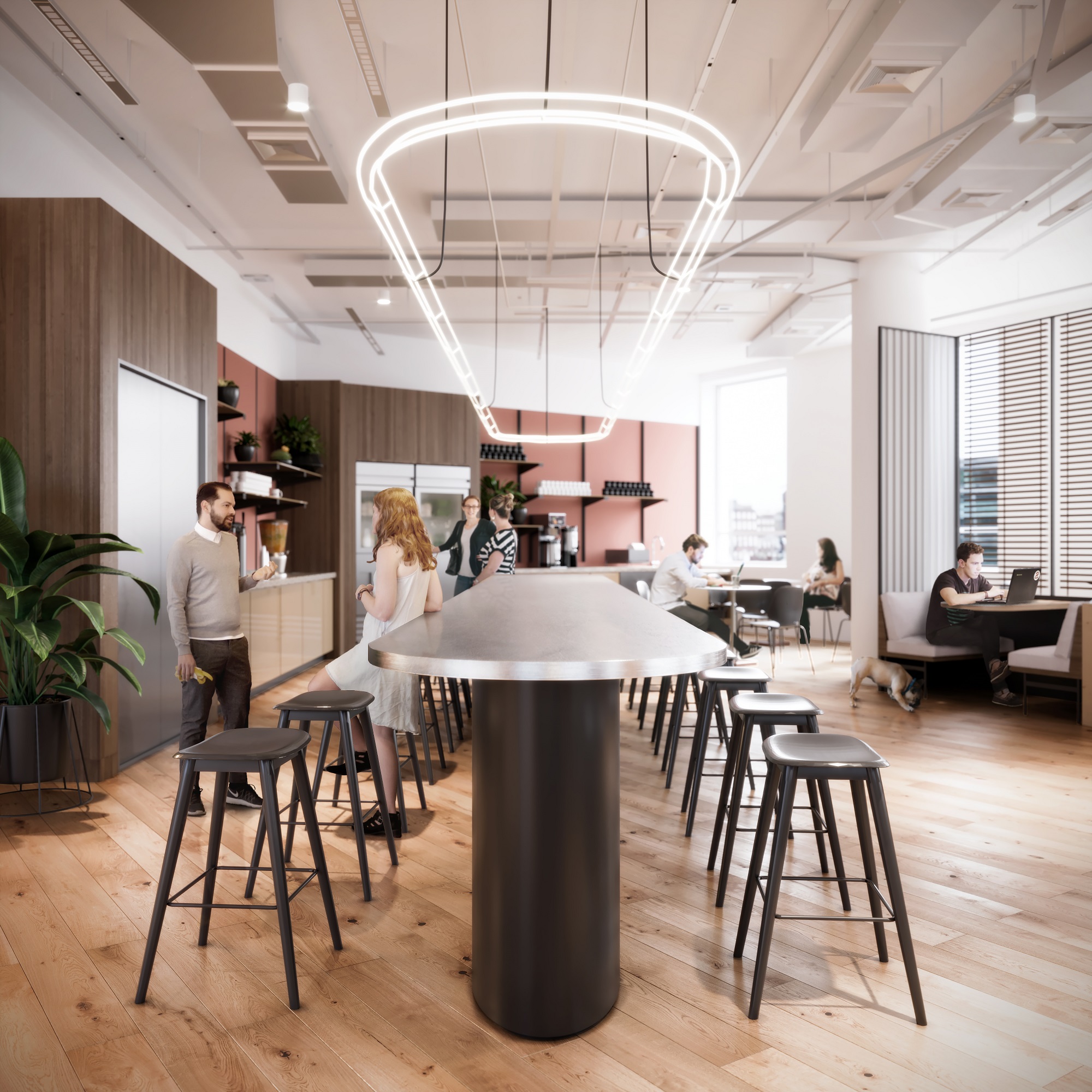 WeWork Iveagh Court, Dublin - Book Online - Coworker