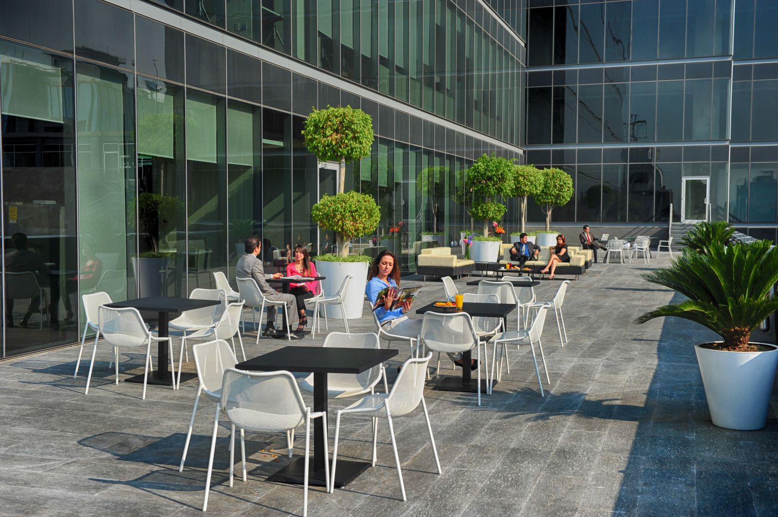 IOS OFFICES CAPITAL REFORMA, Mexico City - Read Reviews & Book Online