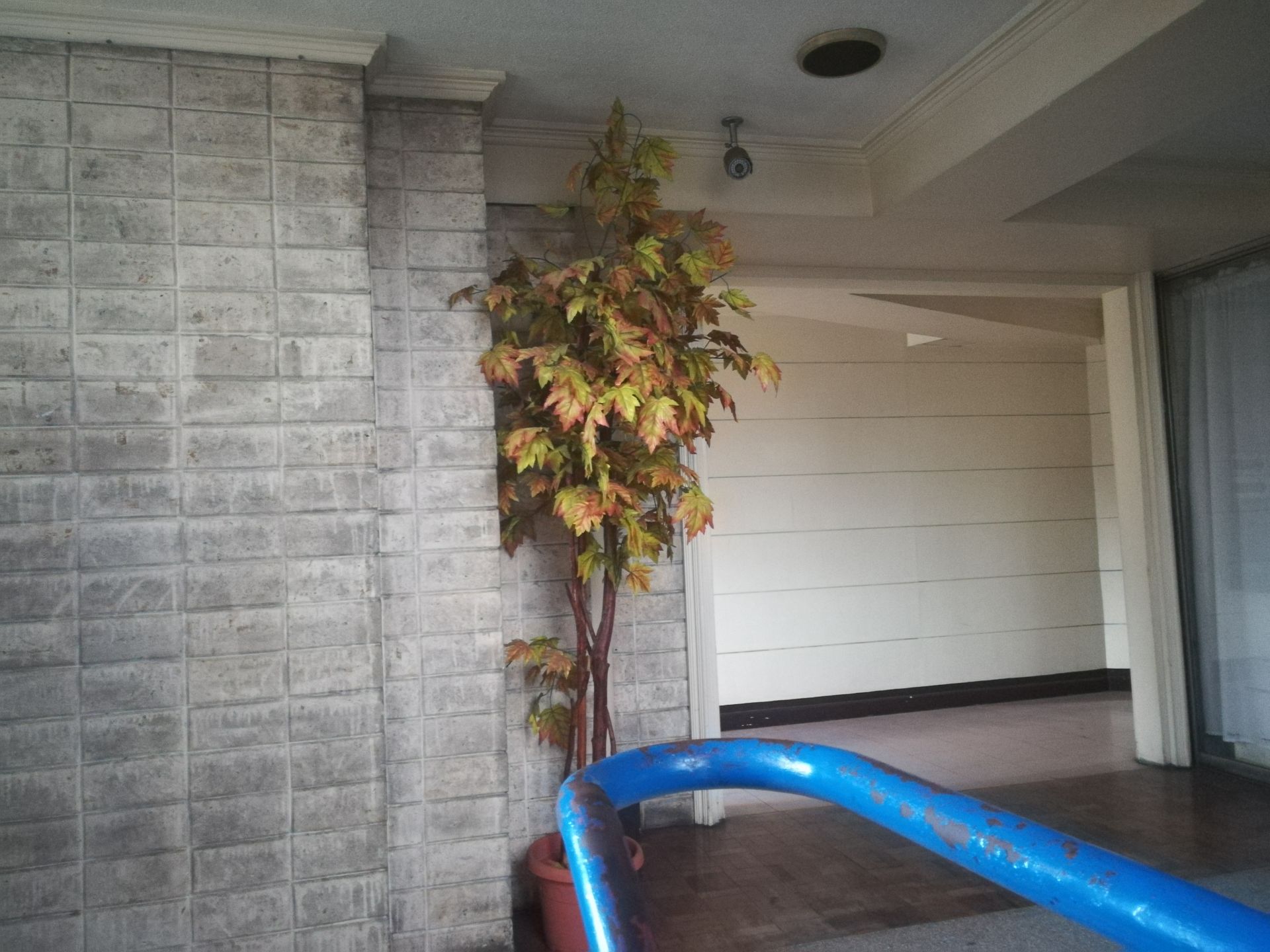 Coworking Space at Co+Lab Coworking Laboratory, Iloilo City | Coworker